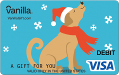 Visa Gift Card | Order Gift Cards Online | Vanilla Gift